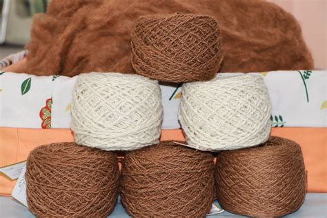 Дагаад хийгээрэй Видео хичээл НООСООР УТАС ЭЭРЭХ СҮЛЖИХ АРГАЧЛАЛ