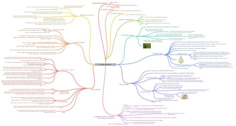 Design Argument Coggle Diagram