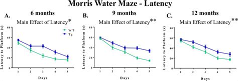 reference memory performance as evaluated on the mwm consistent
