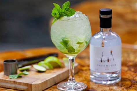 Best Gin Drinks To Order At John Heidt Blog