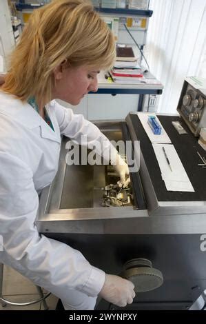 Staff Working With The Cryotome Special Equipment For Cutting Tissues