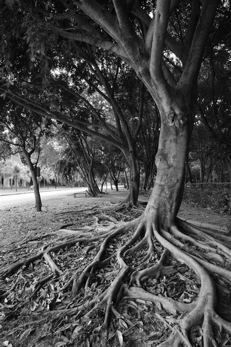 Deeper Into God Bishop Steven S Blog