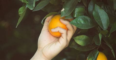 Accessibility In Data Visualizations Usable Charts And Graphs Ux Bulletin