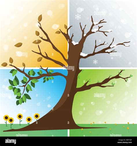 Sunshine In Winter Stock Vector Images Alamy