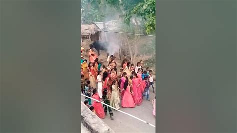 Shorts Shortsvideo Reels Music Youtube