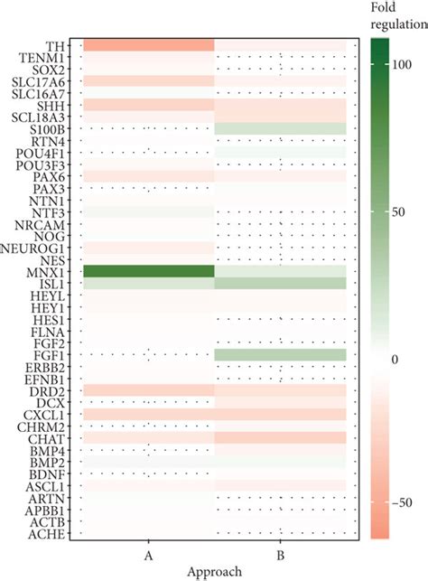 Neuronal Gene Expression Pattern Of Cells Of Approach A And B Genes Download Scientific