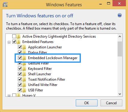 Embedded lockdown manager настройка