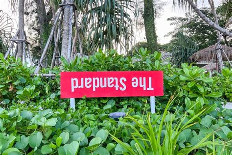 Cameron Sperance On Linkedin A Hip Thailand Hotel At A Steal Of A