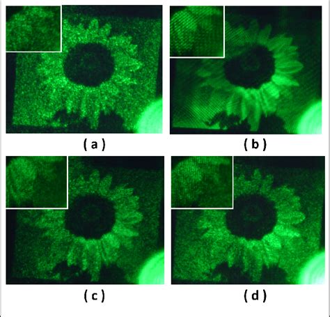 Experimental Reconstruction Object 2 Hologram Partially Illuminated Download Scientific