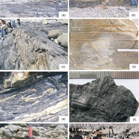 Artificial Imbricate Structure Caused By Photographic Distortion In The Download Scientific