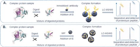 Schematic Illustration Of Step By Step Affinity Capture A Separation Download Scientific