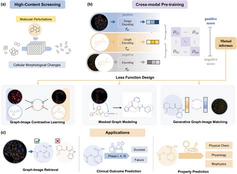 Cross‐modal Graph Contrastive Learning With Cellular Images Zheng 2024 Advanced Science
