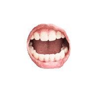 Moving Mouth 