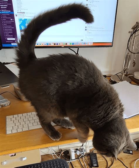 How To Use The Arcgis Maps Sdk For Java In A Raspberry Pi For Recording