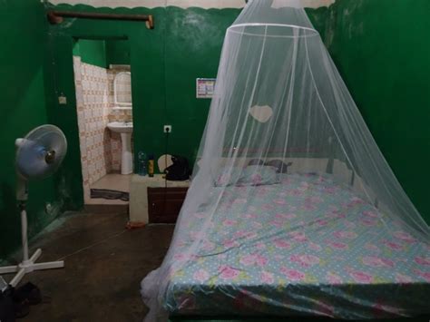 Alternative Zig Reviews Photos