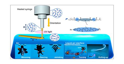Meniscus Climbing System Inspired 3d Printed Fully Soft Robotics With Highly Flexible Three