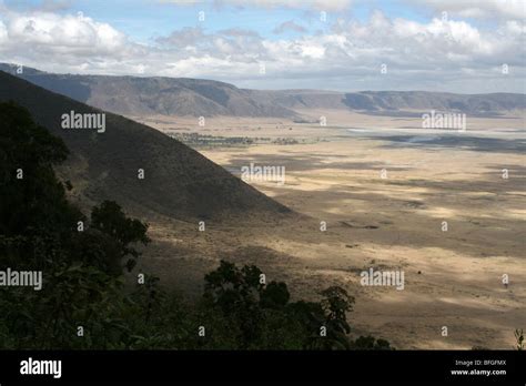 The Collapsed Volcanic Caldera Of Ngorongoro Crater Tanzania Stock