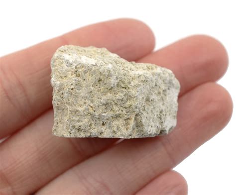 Raw Fossiliferous Limestone Sedimentary Rock Specimen Approx 1 — Eisco Labs