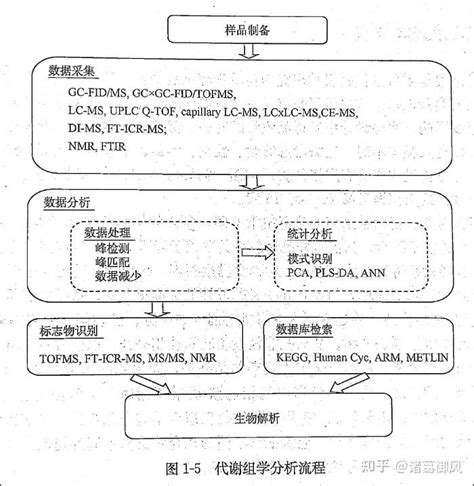 【系统生物学】【代谢组学】①代谢组学绪论 知乎