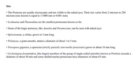Protozoa Pptx Microscopic Eukaryotes Unicellular Pptx