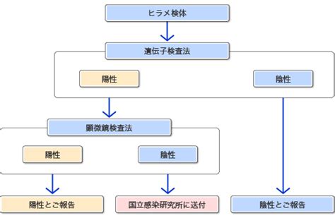 有限会社 山口臨床検査センターヒラメのクドア寄生虫検査