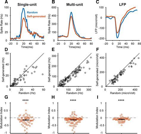 Responses To Self Generated Sounds Are Attenuated In The Auditory Download Scientific Diagram