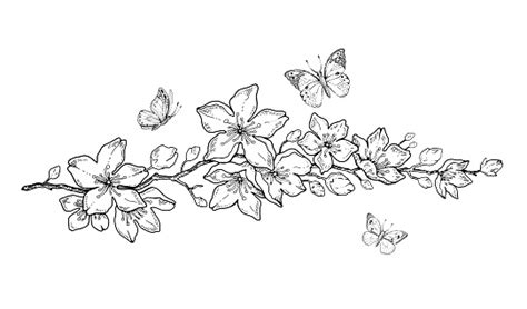 체리 꽃 꽃 식물 예술 봄 아몬드 사쿠라 사과 나무 가지 손으로 그리기 낙서 벡터 일러스트 레이 션 귀여운 검정 잉크 예술 흰색 배경에 고립 현실 꽃 꽃 밑그림입니다