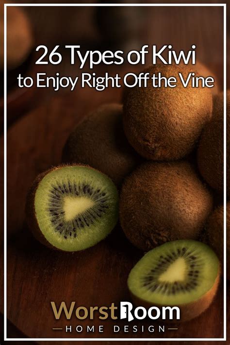 26 Types Of Kiwi To Enjoy Right Off The Vine Kiwi Growing Fruit Trees Delicious Fruit