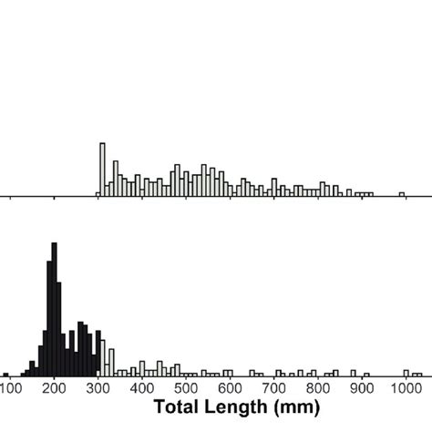 Map Of The Flathead Catfish Sampling Areas Including River Reaches