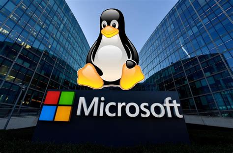Microsoft Opensource E Linux News Technology