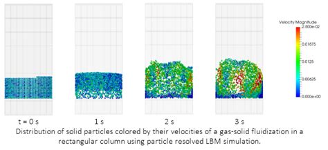 Lattice Boltzmann Simulations