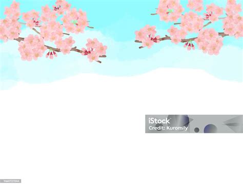 흰색 배경에 격리된 손으로 그린 벚꽃 수채화 손으로 그린 그림입니다 0명에 대한 스톡 벡터 아트 및 기타 이미지 0명 3월 4월 Istock