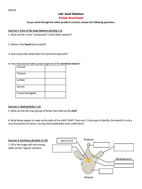 Kin 270 Lab Axial Skeleton Prelab Worksheet Pdf Science And Mathematics