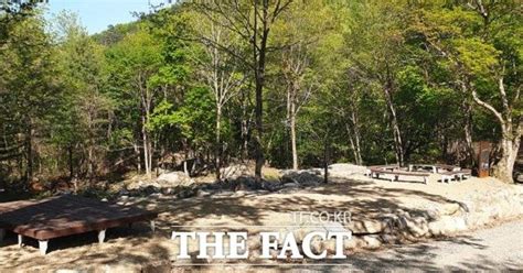 인제군 Dmz 평화의 길 테마노선 재개방