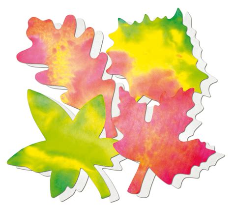 Colour Diffusing Paper Leaves Rolf Education