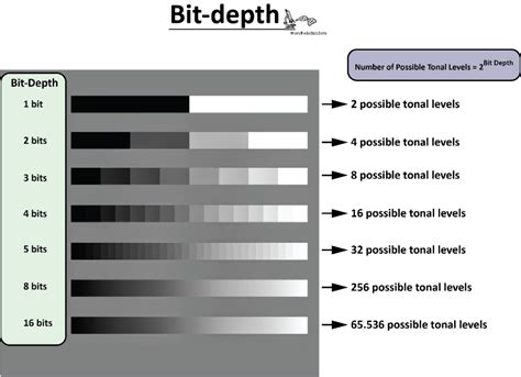 Bioimage Analysis With Python Everything You Need To Know About Bit Depth By Bioimage Analysis With Python Everything You Need To Know About Bit Depth By