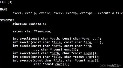 【linux】进程控制详述 linux execl csdn博客