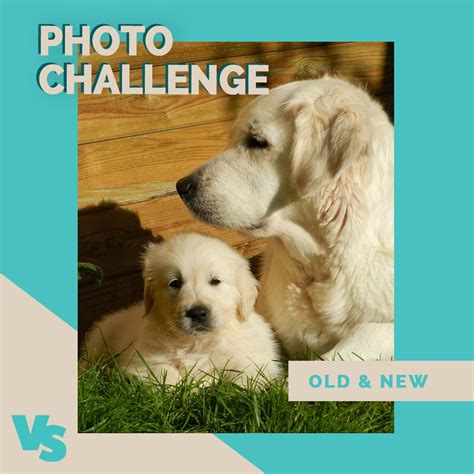 philip ebiner on linkedin photofriendchallenge