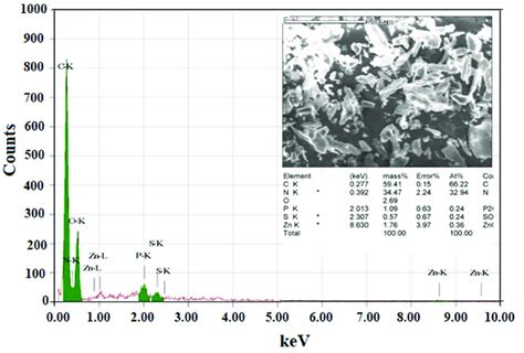 EDAX Spectrum Of FSE Derived ZnO NPs Download Scientific Diagram