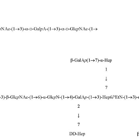 Pdf Proteus Sp An Opportunistic Bacterial Pathogen Classification Swarming Growth