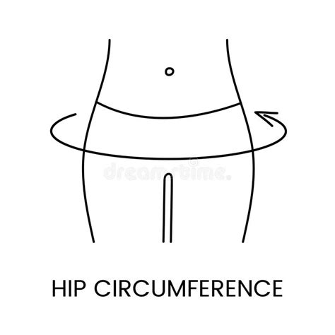 Hip Circumference Stock Illustrations 33 Hip Circumference Stock