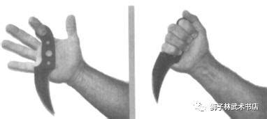 爪刀之秘 来自东南亚的致命武器：爪刀的握法 知乎