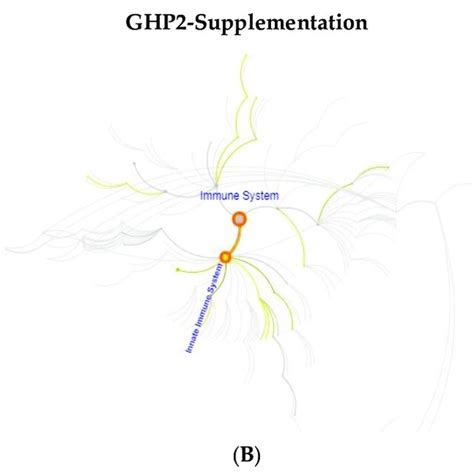 Reactome Pathway Map Analysis Of Proteomic Data Following Broiler