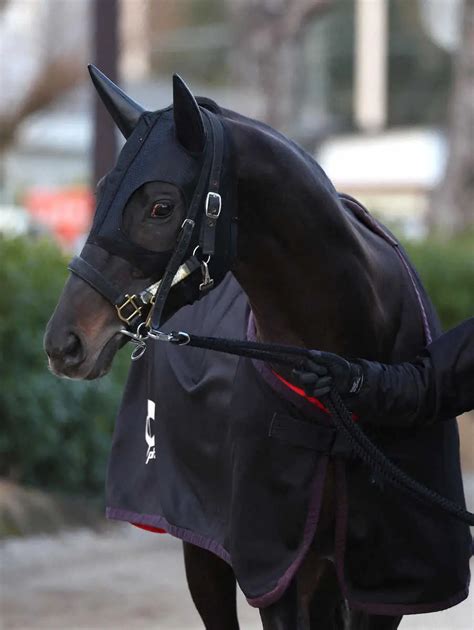【有馬記念】（16）シャフリヤール 大外から奇策も、藤原師「ハナに行くなら絶好枠」 スポニチ競馬web