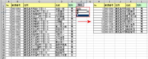 データの抽出excel Vba入門