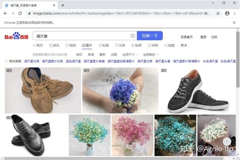 Python爬取图片并保存爬虫:大量爬取百度图片——python Csdn博客 Python爬取图片并保存爬虫:大量爬取百度图片——python Csdn博客