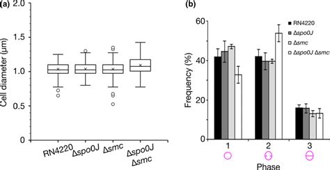 A Distribution Of Staphylococcus Aureus Cell Diameters In The