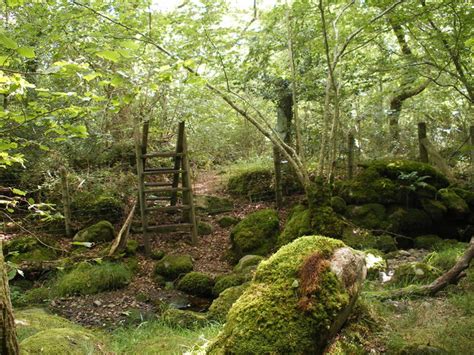 Chromebook Chromeos 106以降 ブロック解除 Blogbooks Library