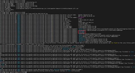 使用 Setenv 配置文件管理 Tomcat 的自定义环境变量 Javaer1995 博客园