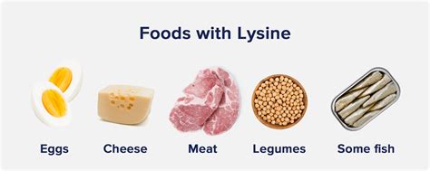 L Lysine Benefits From Anxiety To Muscle Growth